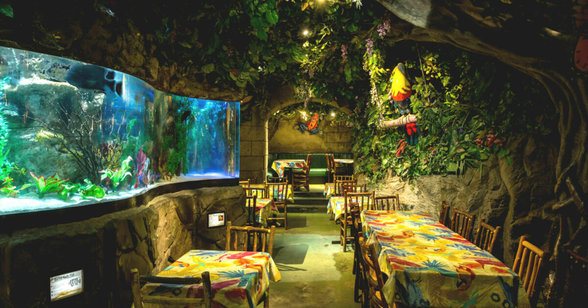 Explore Jungle Cave - London's Hidden… | Discover Leicester Square
